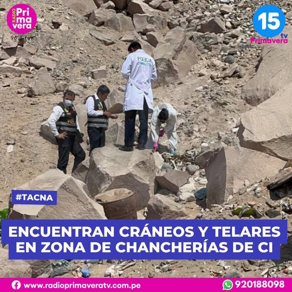 TACNA: ENCUENTRAN CRÃ NEOS Y TELARES EN ZONA DE CHANCHERÃ AS DE CIUDAD ...